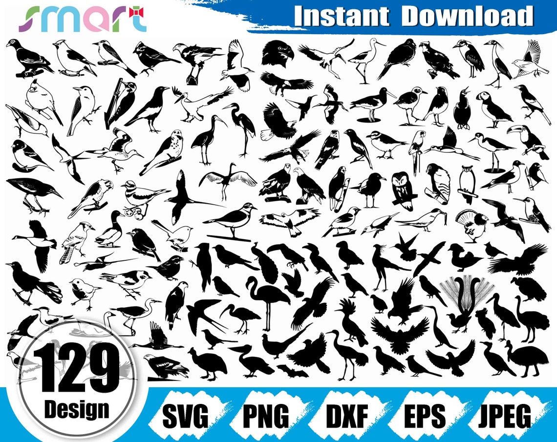 Bird Svg Bundleeagle Svgowl Svgwildlife Svglittle Birds - Etsy