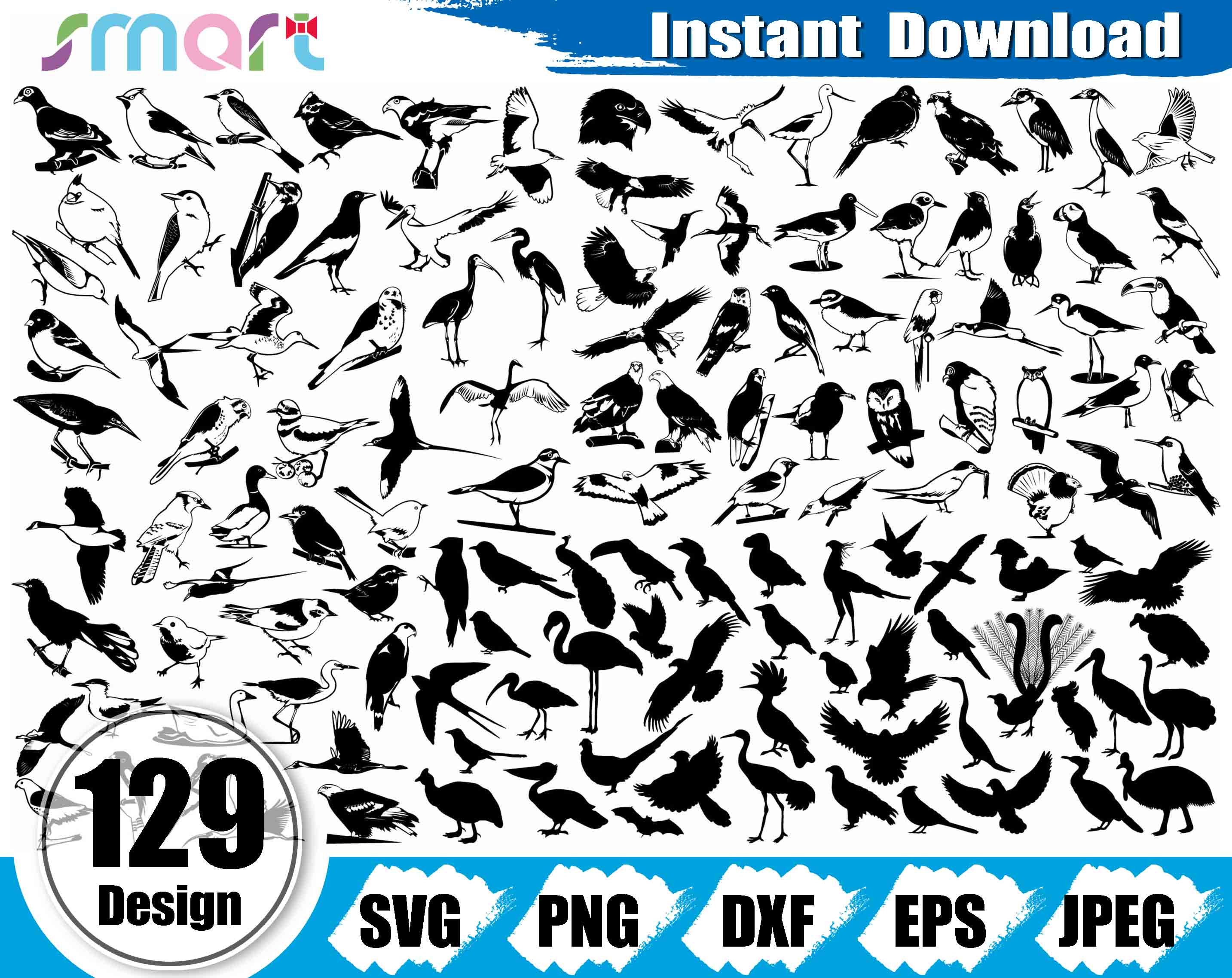 Vogel-Svg-Bundle Adler svg Eule svg Wildtiere svg kleine - Etsy.de