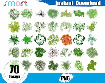 Tree Plan PNG, Landscape Treetop PNG, Tree Plan View, Flat Tree Clipart ...