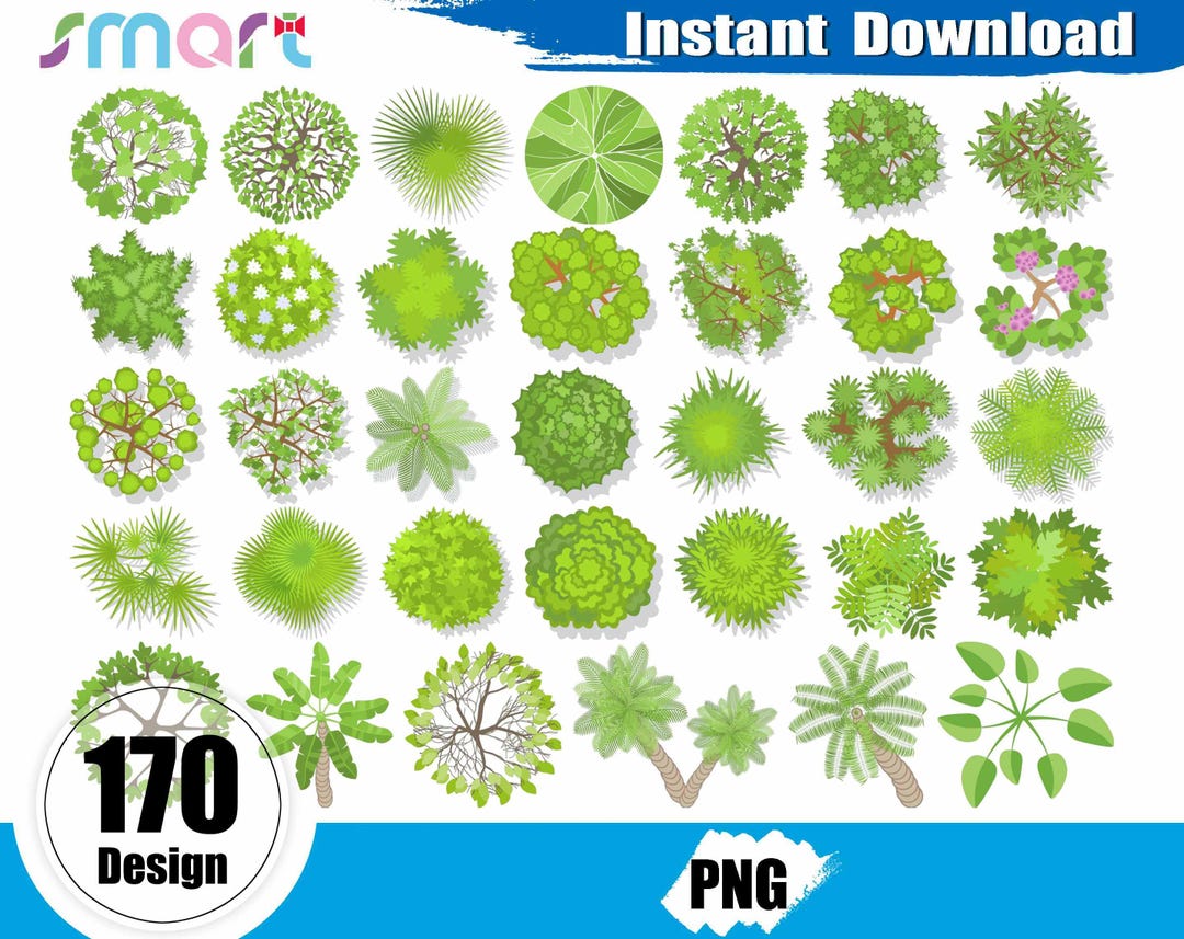 Hand-drawn Style Tree Plan View Clipart, Landscape Tree PNG, Flat Tree ...