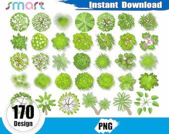 Tree Plan PNG, Landscape Treetop PNG, Tree Plan View, Flat Tree Clipart ...