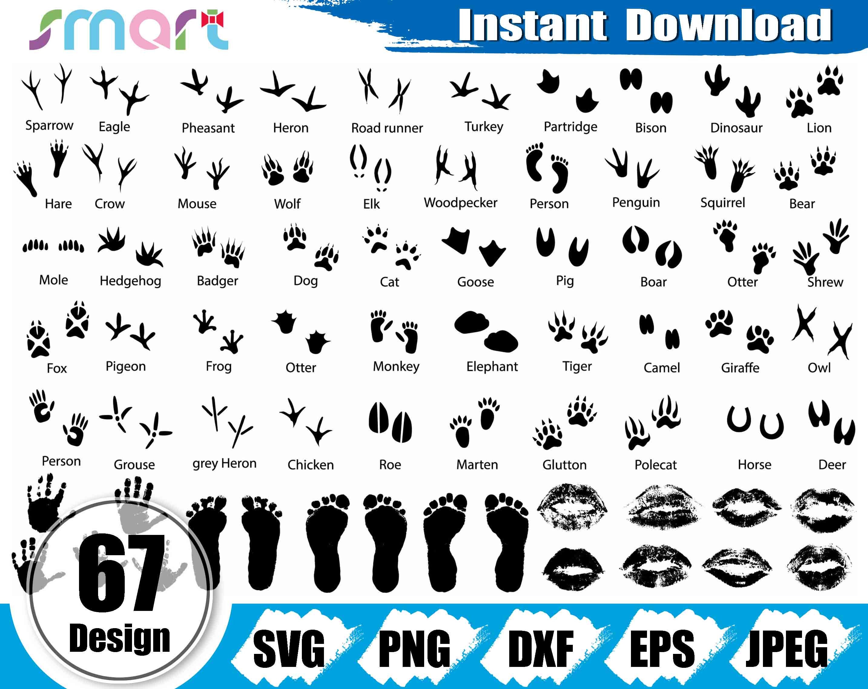Large Cat Animal Tracks Clipart