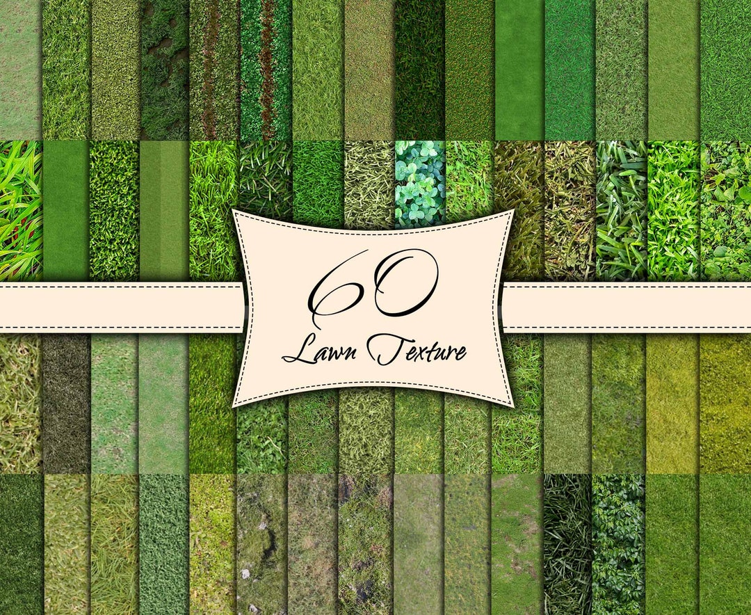 Lawn Plan View, Landscape Lawn, Plant Top View, Lawn Top View, Grass ...