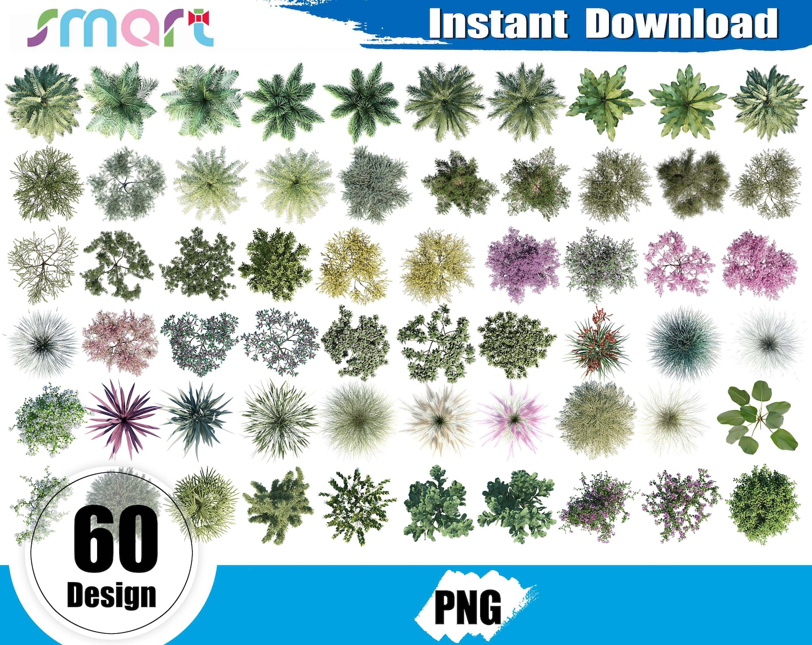 Tree Plan View Clipart, Landscape Tree PNG, Flat Tree Clipart, Plant ...