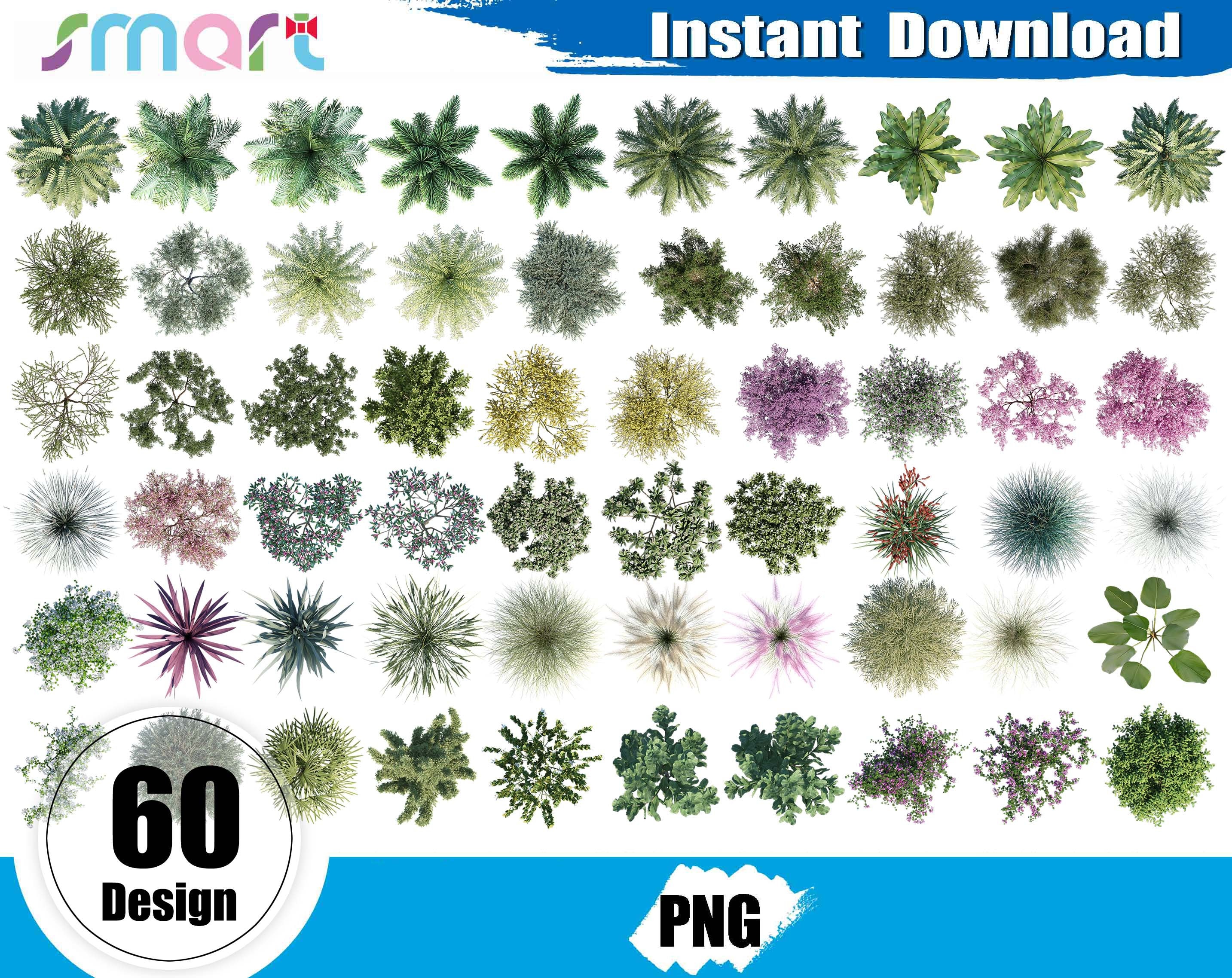 Tree Plan View Clipart, Landscape Tree PNG, Flat Tree Clipart, Plant ...