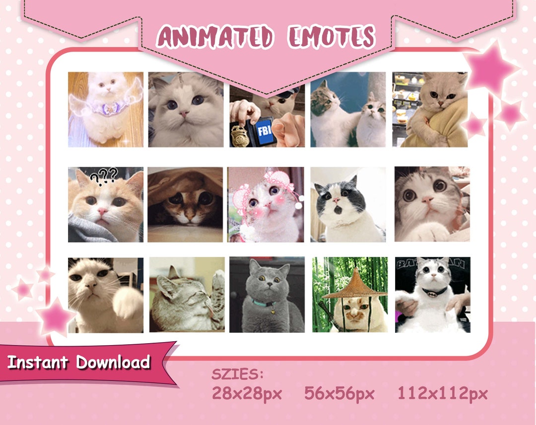 Emote de gato animado, emotes de Twitch, emotes de discórdia, pacote de ...