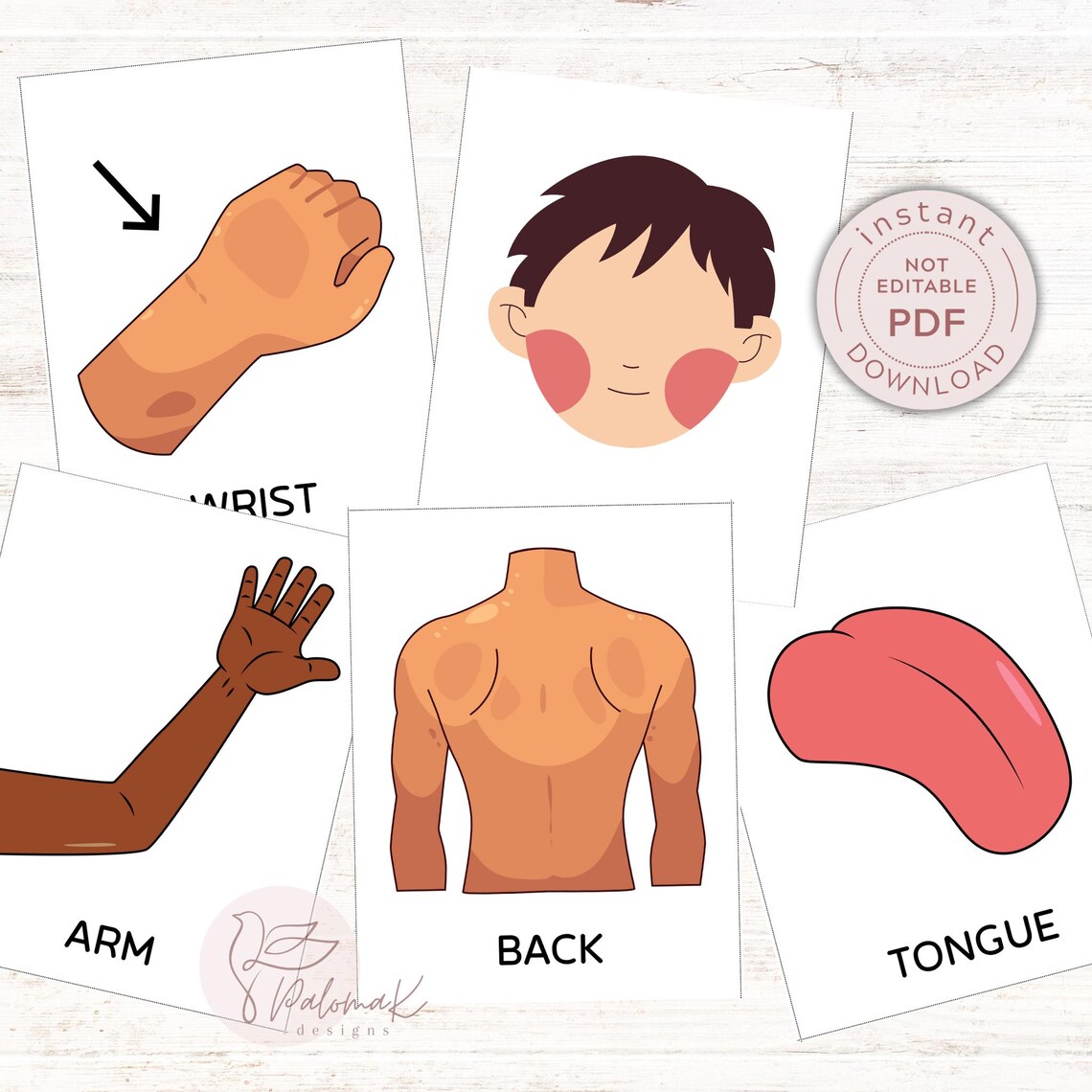 Printable Human Body Parts Flashcards (PDF Download) - Etsy