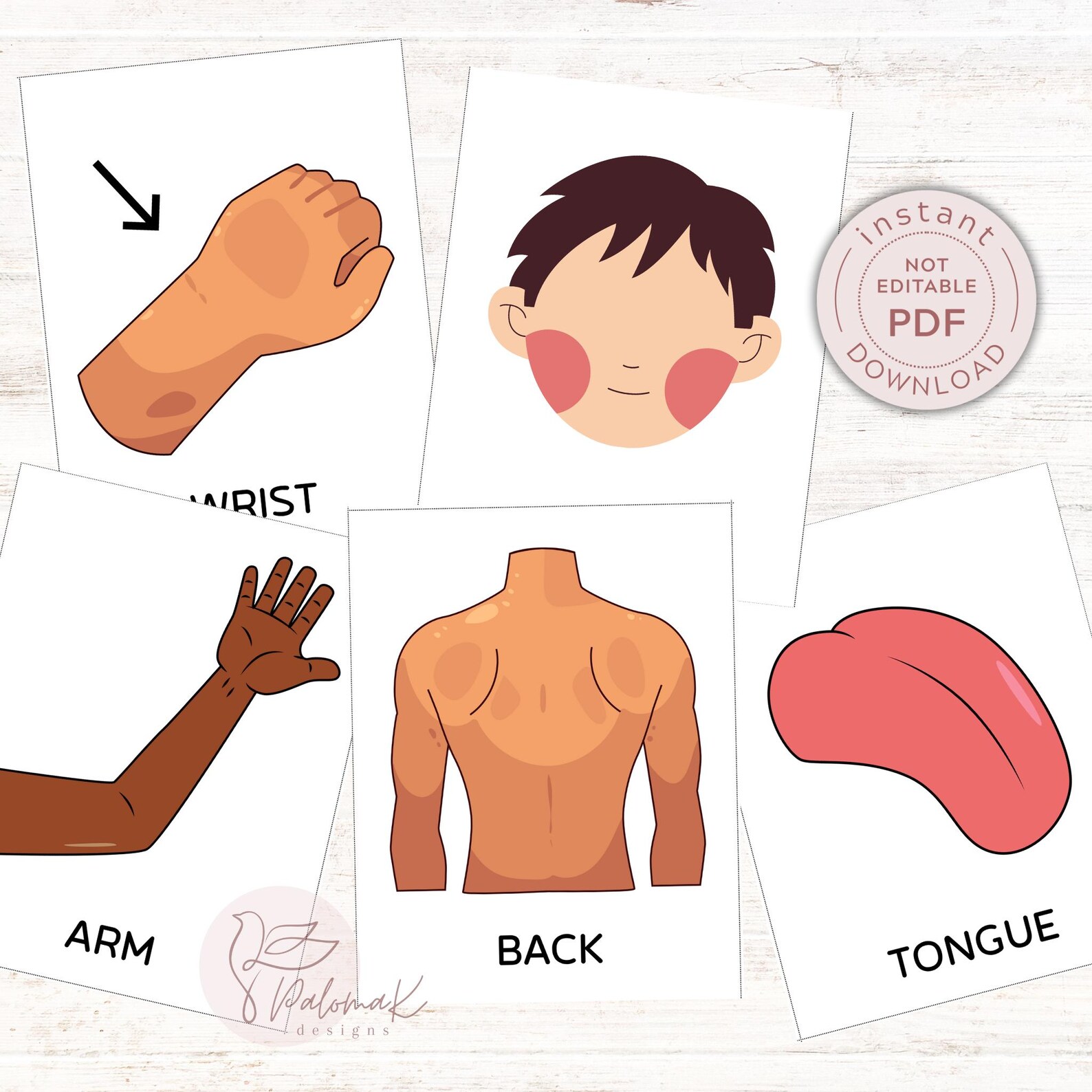 Printable Human Body Parts Flashcards (PDF Download) - Etsy