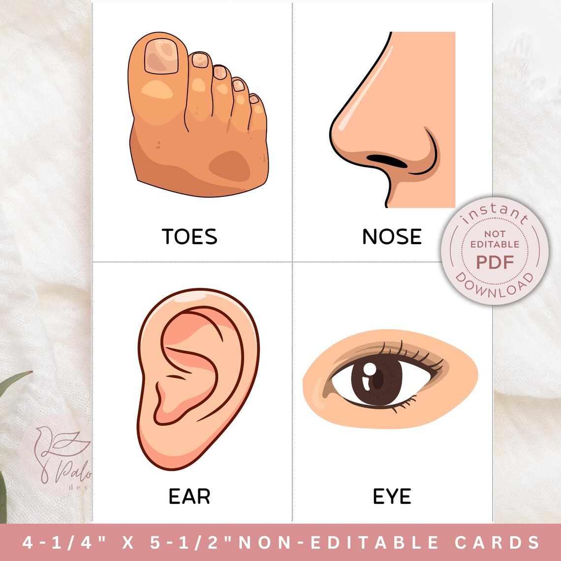 Printable Human Body Parts Flashcards (PDF Download) - Etsy