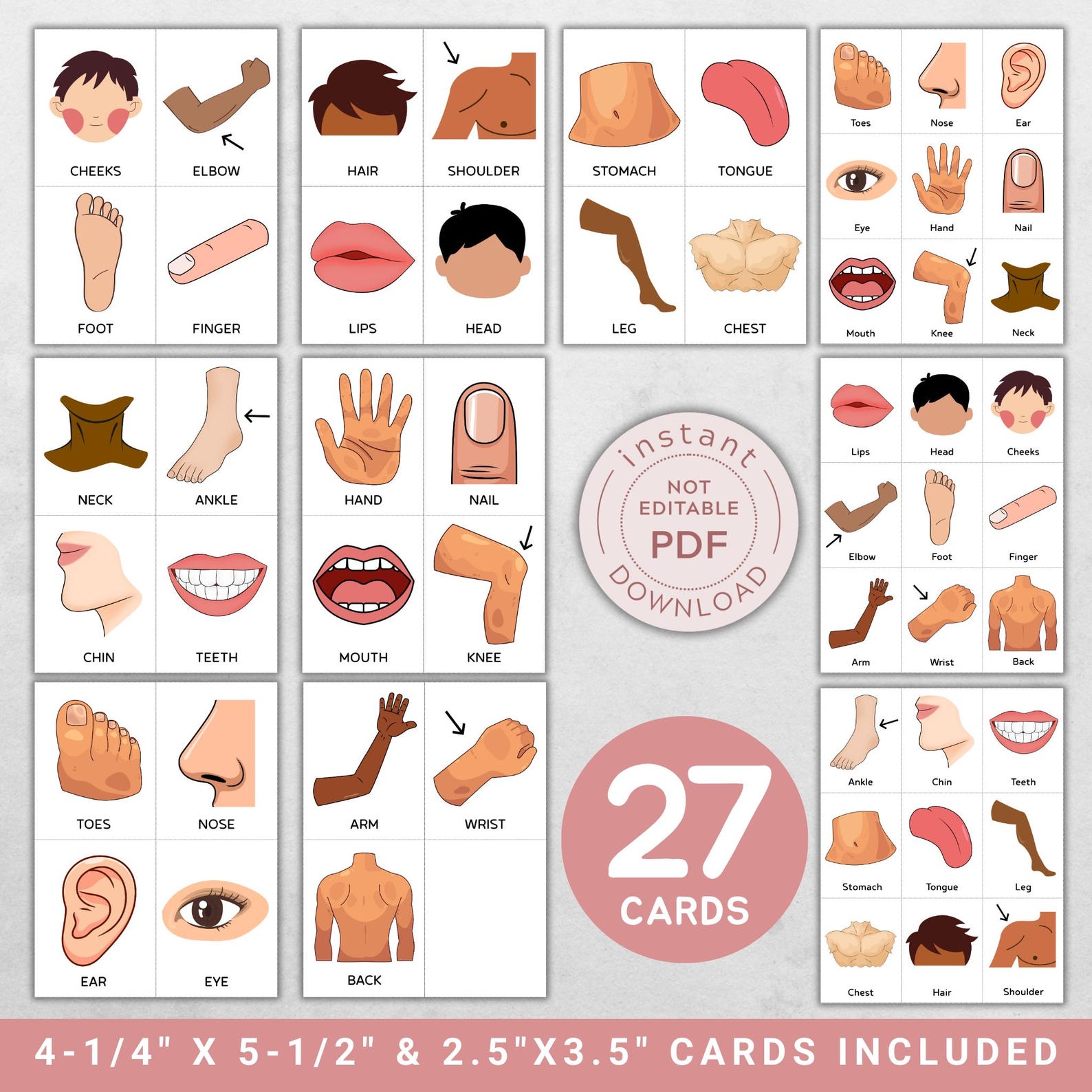 Printable Human Body Parts Flashcards (PDF Download) - Etsy