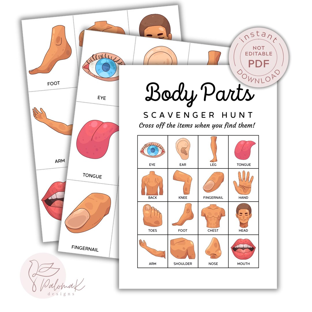 Human Body Parts Scavenger Hunt Activity for Kids (PDF Download) - Etsy