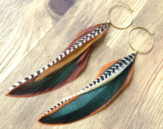 Feather Earrings in Natural Warm Colours, Rooster, Boho, Hoops ...