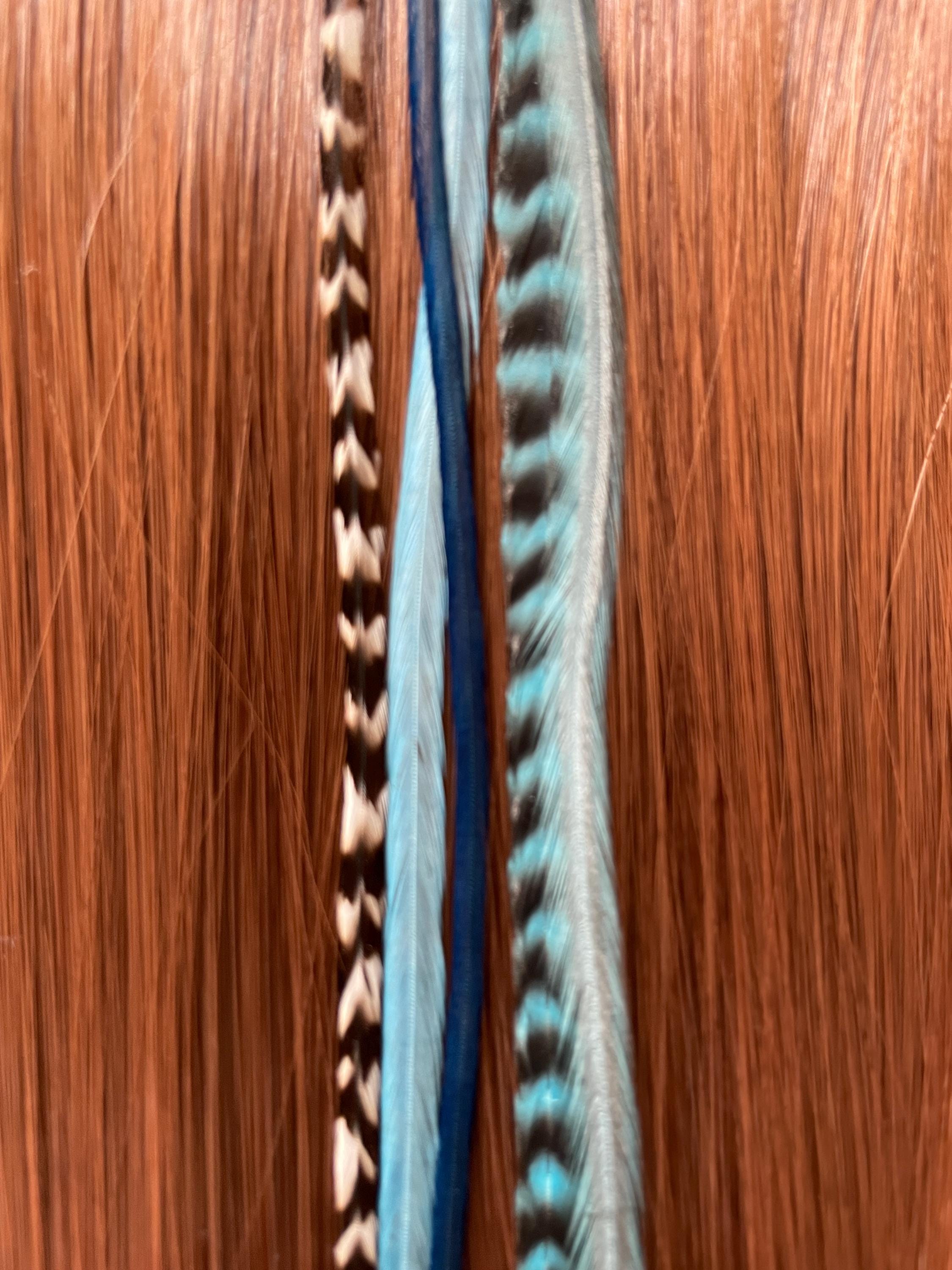 Blue Feather Hair Extension Kit: Natural Rooster Feathers, DIY - Etsy