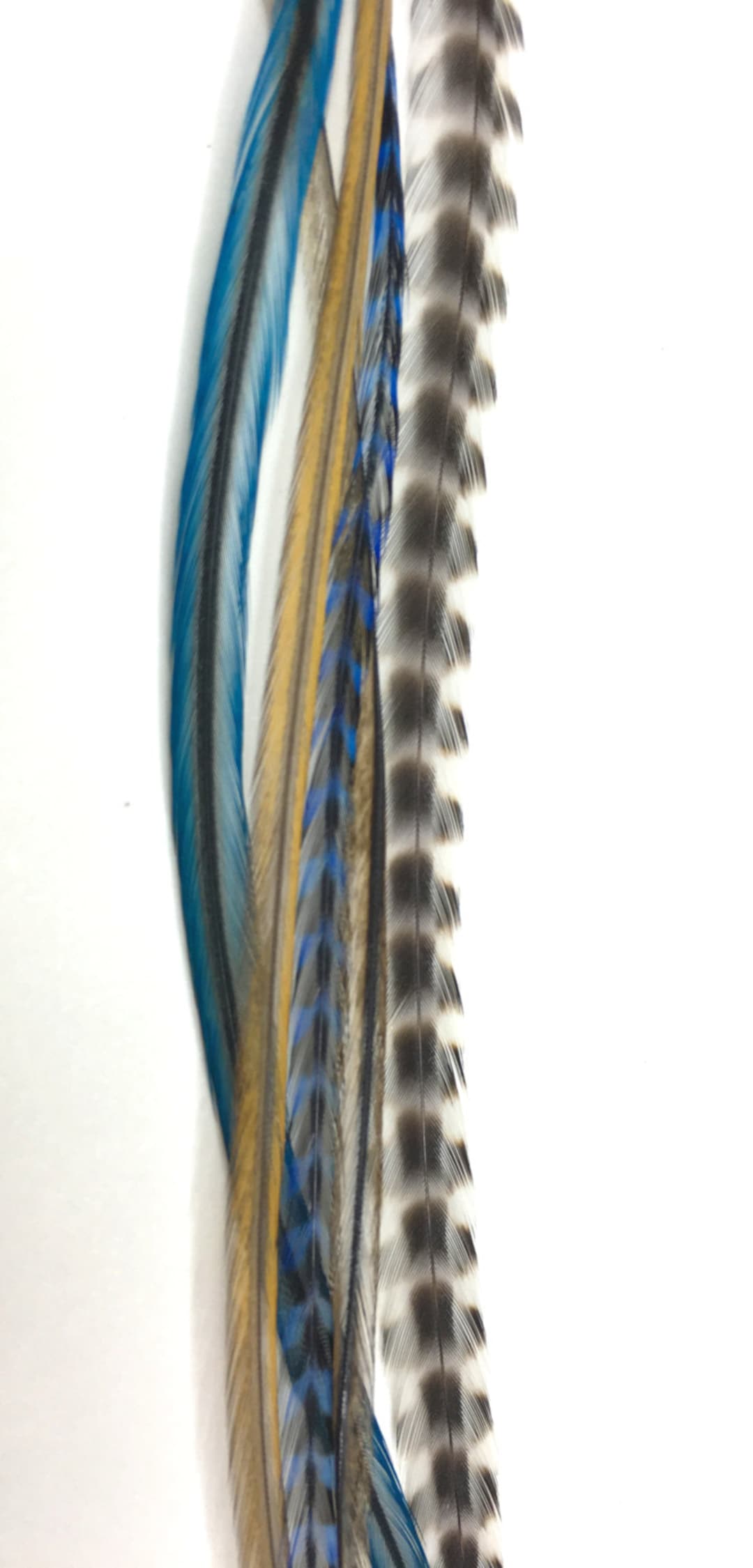 Feather Hair Extension Kit: 5 Natural Bonded Rooster Feathers With 3 ...