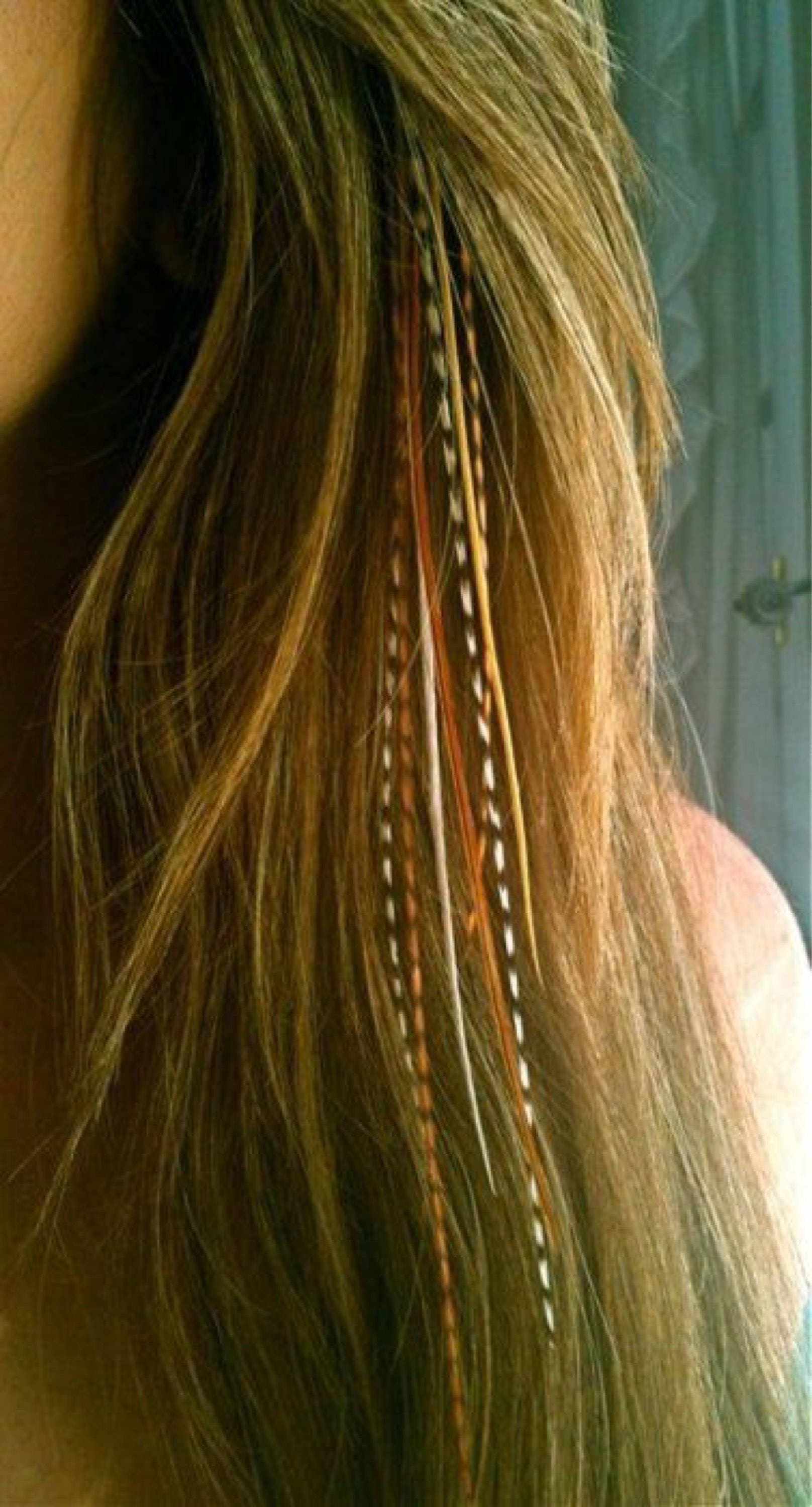 Natural Feather Hair Extension Kit: Rooster Feathers, Crimp Beads - Etsy