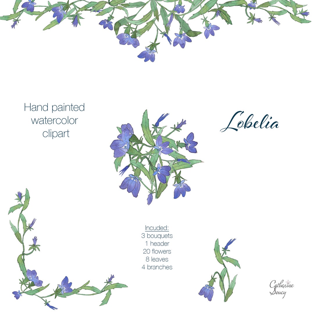 Watercolor Hand Painted Clipart Blue Lobelia Flowers Blue and Green ...