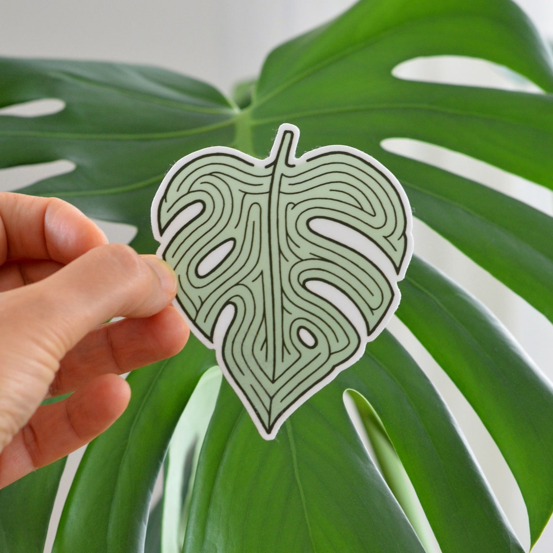 Monstera Split Leaf Maze Sticker | Premium Waterproof Die Cut Vinyl | 3 ...