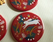 Sols et revêtements adaptés aux lapins - La dure vie du lapin urbain