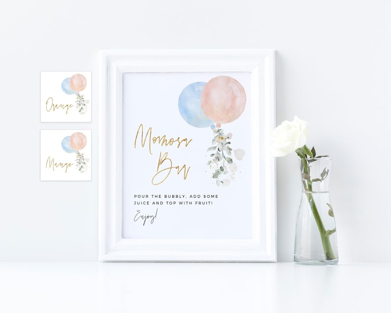Gender Reveal Momosa Bar Sign, Twins Baby Shower Mimosa Bar Sign ...