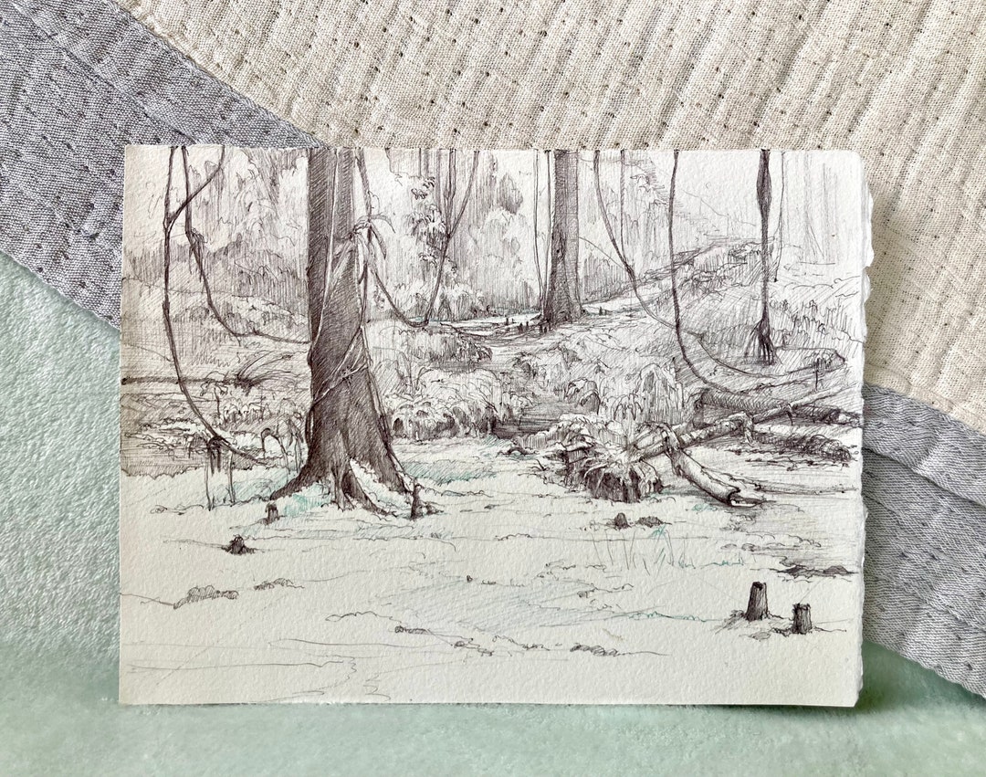 Tambopata National Reserve Forest Floor, Original Pen and Ink Drawing ...