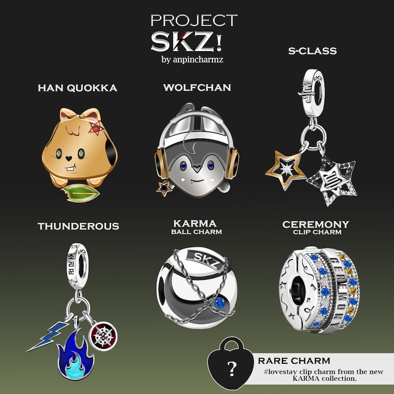 Project SKZ Blind Charm Box, Stray Kids Jewelry, Stray Kids Charm ...
