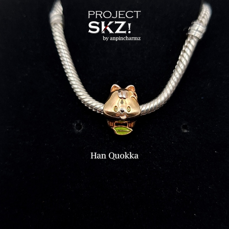 PROJECT SKZ Charms (batch 2), Stray Kids Jewelry - Etsy