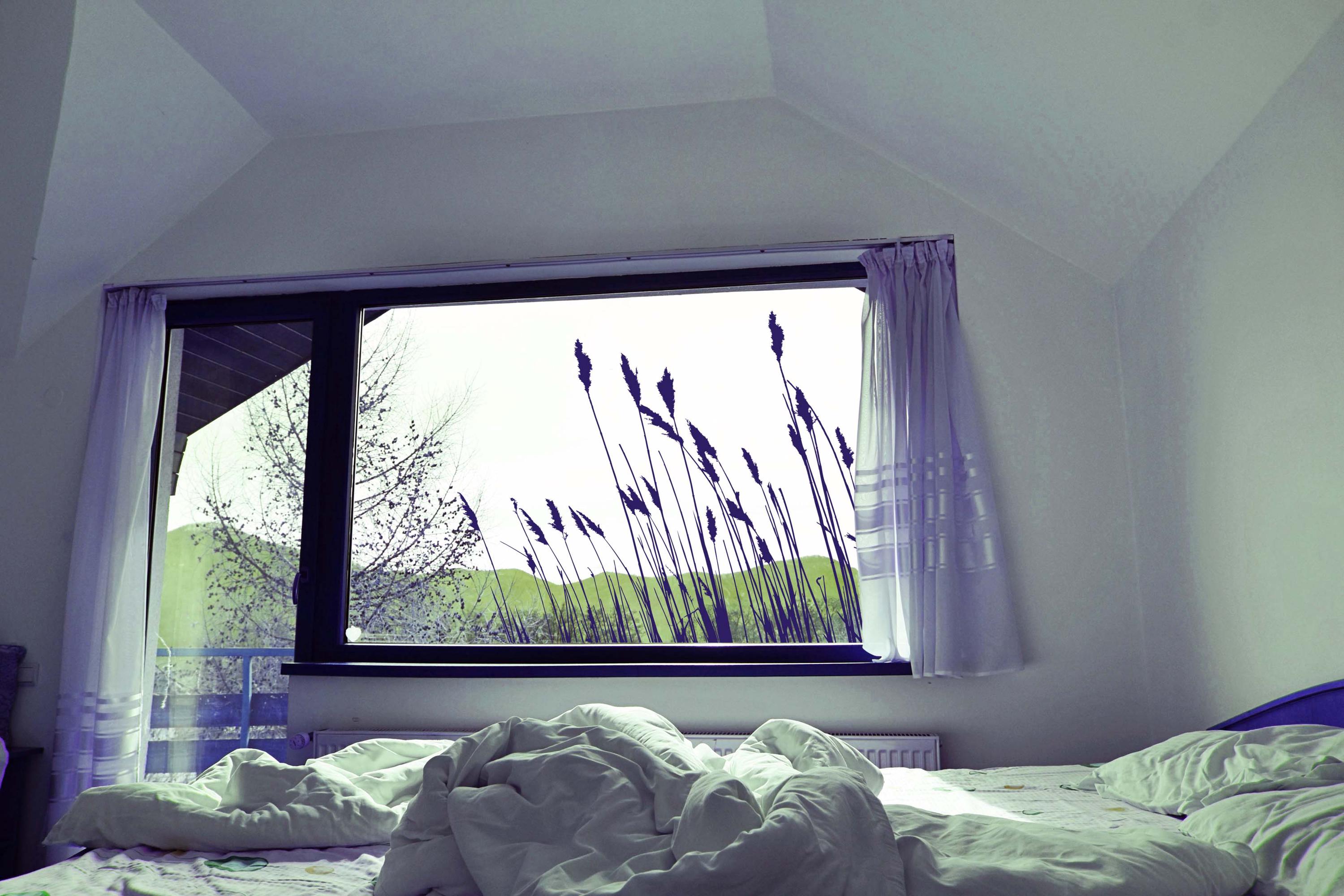 Grass Wall Art, Tall Grass Wall Decal, Reeds Wall Stickers, Grasses ...