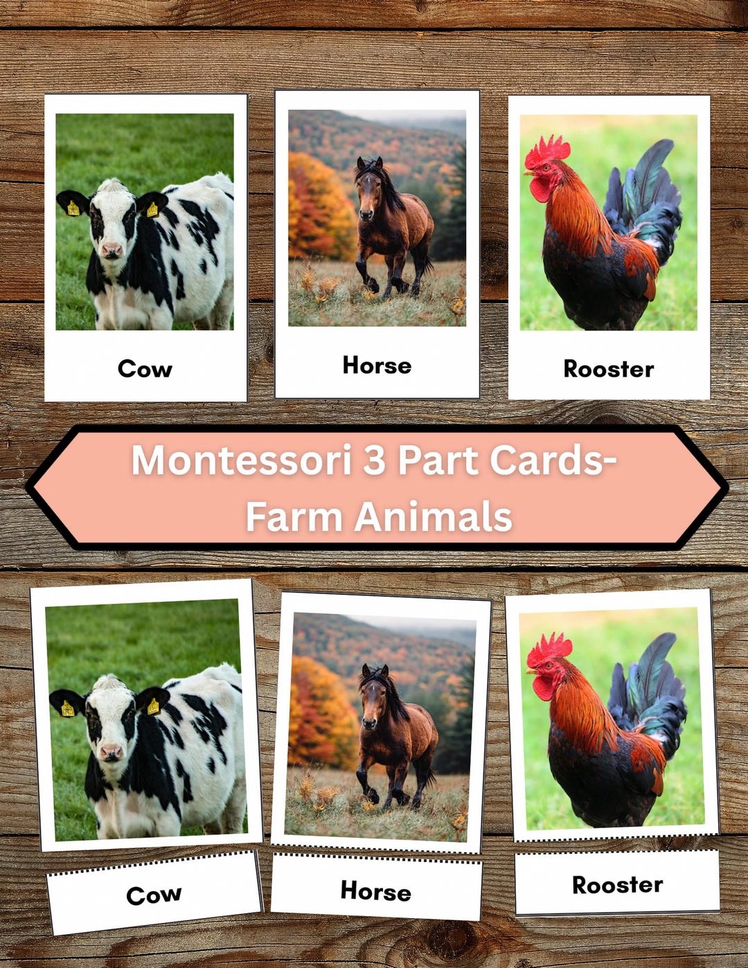 Montessori Farm Animals 3-part Cards + Matching Activity (printable PDF ...