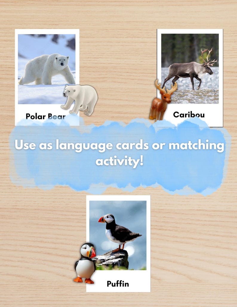 Montessori Arctic Animals 3-part Cards + Matching Activity (printable ...