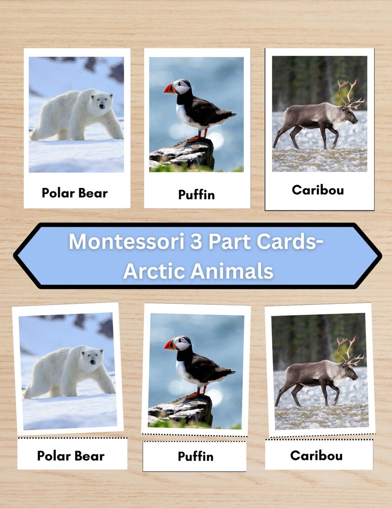 Montessori Arctic Animals 3-part Cards + Matching Activity (printable ...