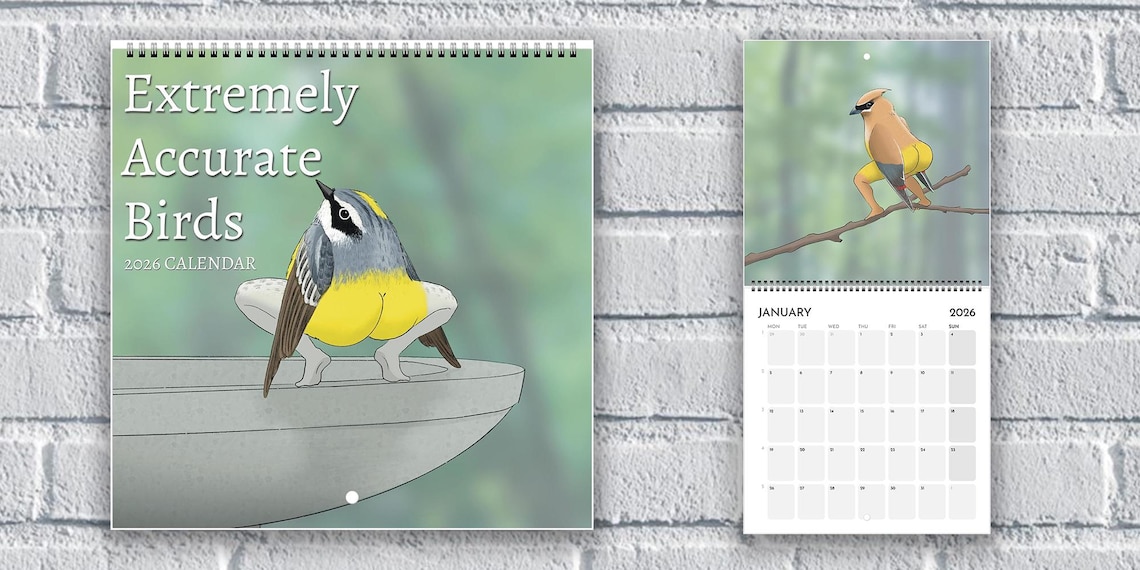 Extremely Accurate Birds 2026 Wall Calendar, Funny 2026 Birds Calendar ...