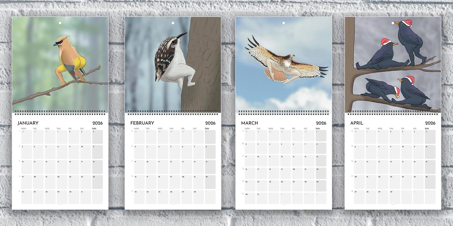 Extremely Accurate Birds 2026 Wall Calendar, Funny 2026 Birds Calendar ...