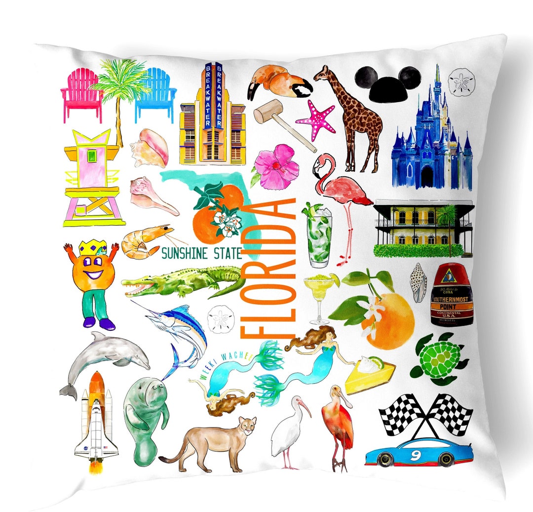 Reversible 18" Iconic Florida Throw Pillow - Etsy