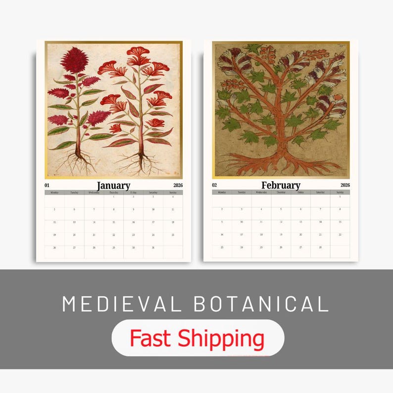 2026 Medieval Botanical Calendar • Illustrated Wall Calendar - Etsy