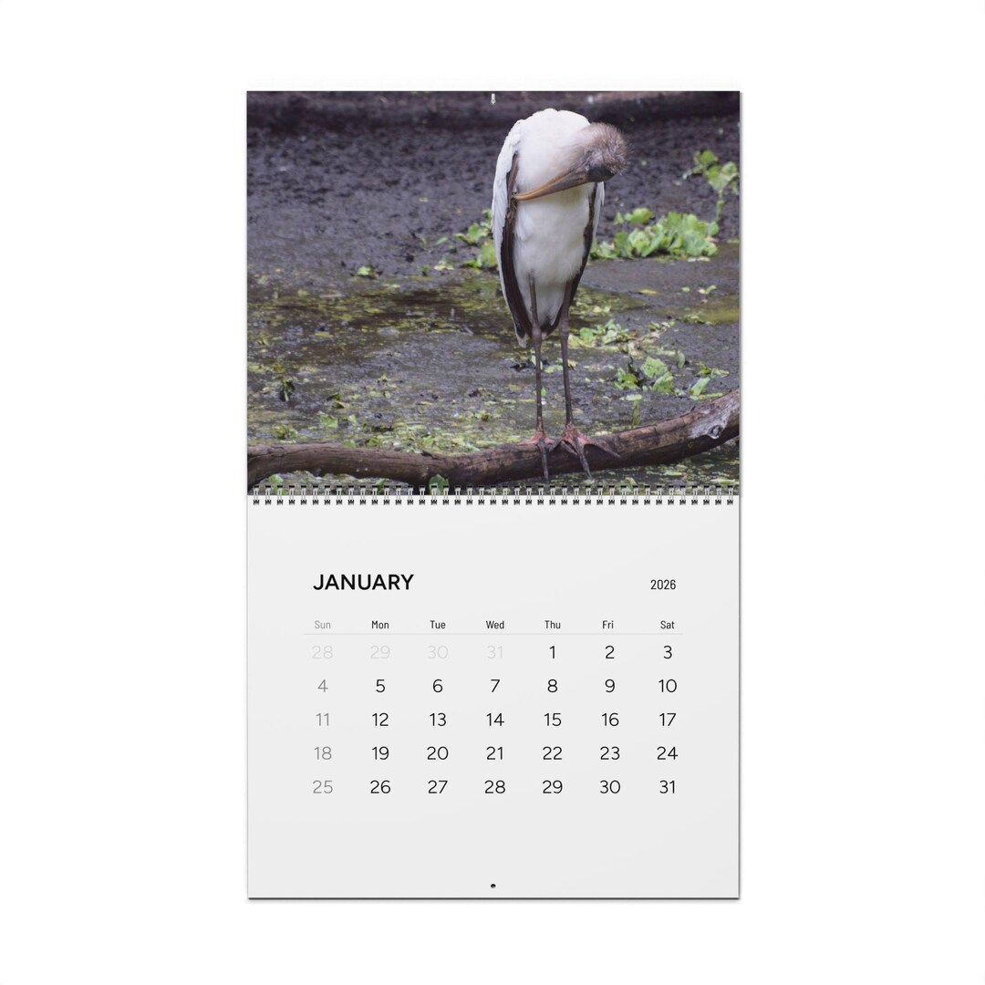 Bird Wall Calendar (2026) | Wildlife Nature Photo Calendar - Etsy