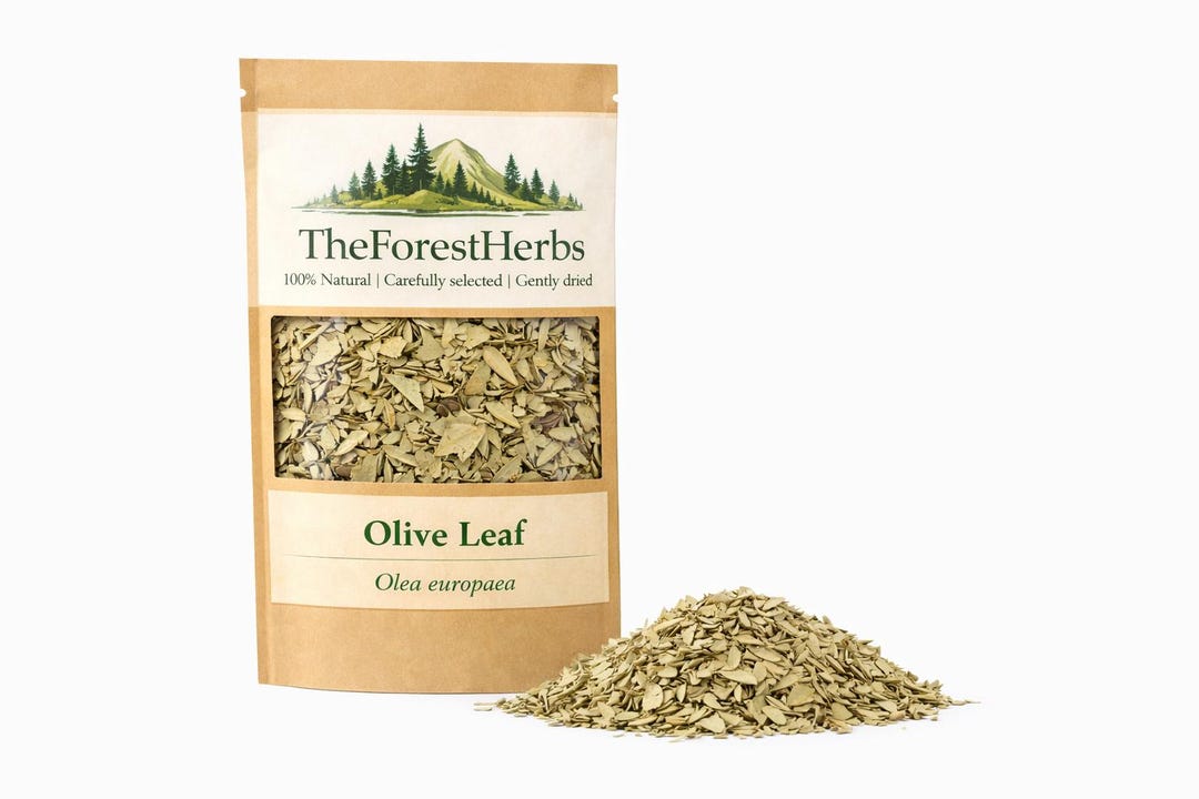 Olive Leaf Tea – Olea Europaea/ Dried Herbs/loose Leaf - Etsy