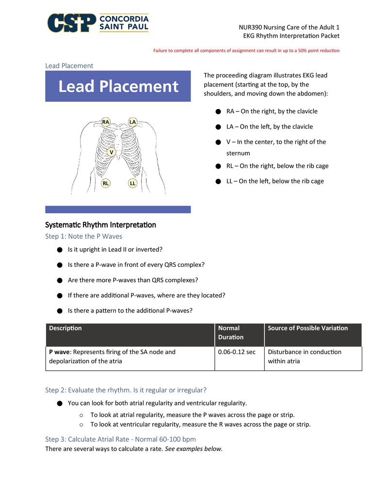 EKG Rhythm Interpretation Packet PDF 2026 | ECG Lead Placement ...