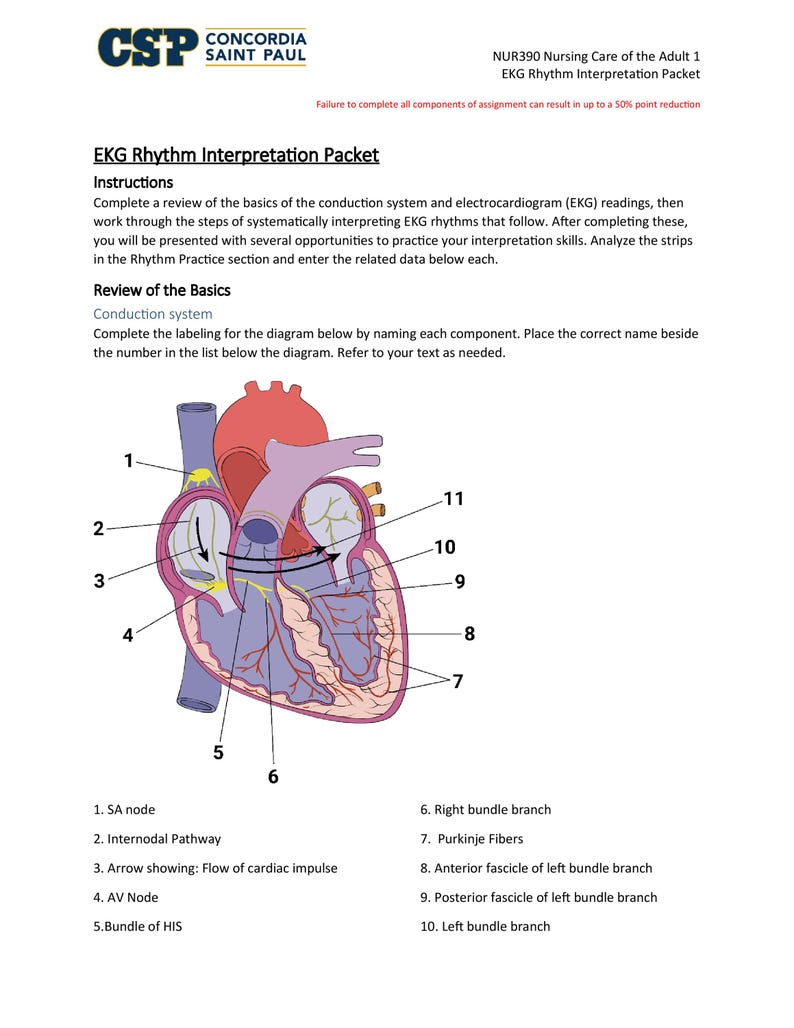 EKG Rhythm Interpretation Packet PDF 2026 | ECG Lead Placement ...