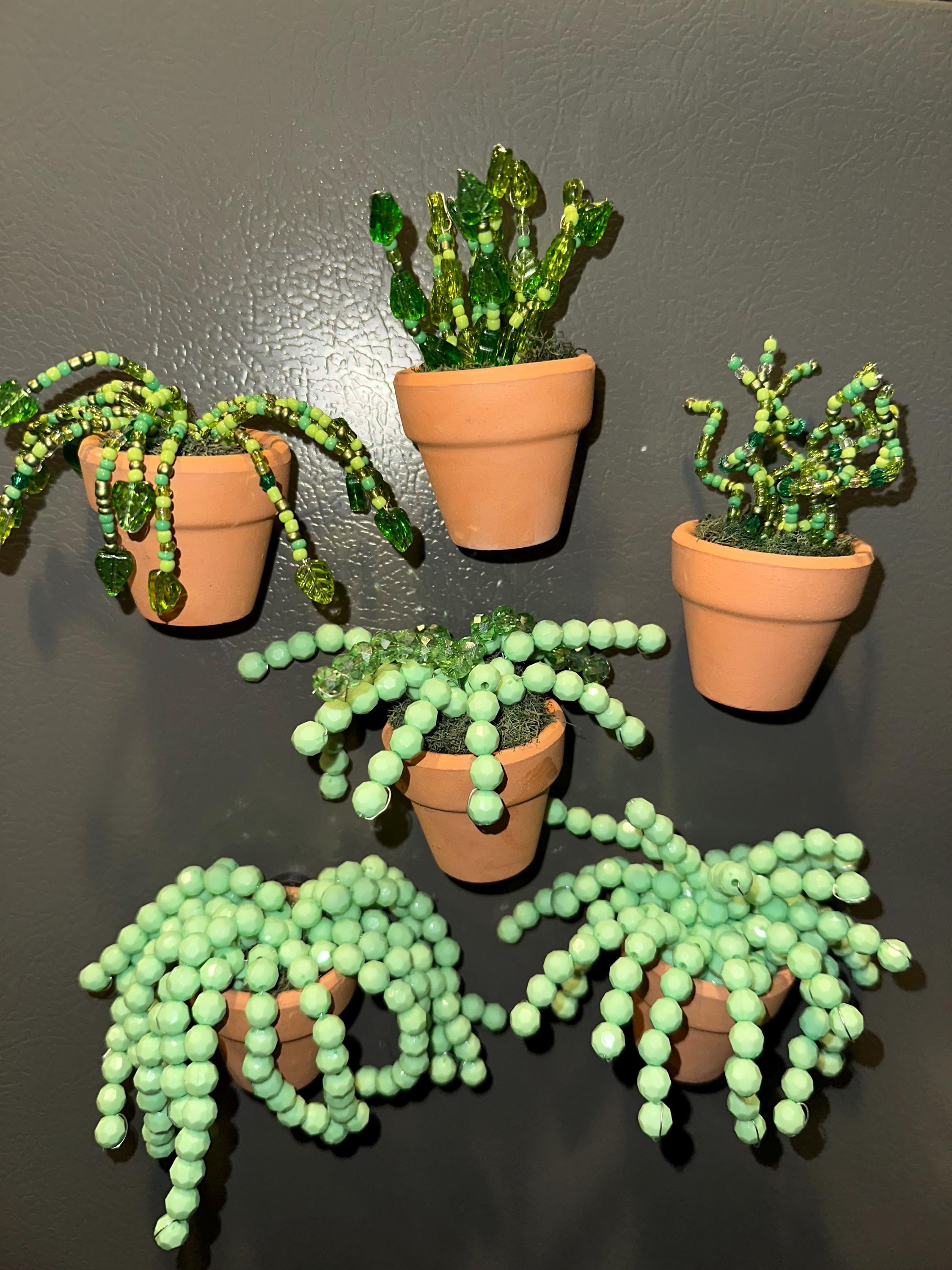 Forever Plant Magnets - Etsy