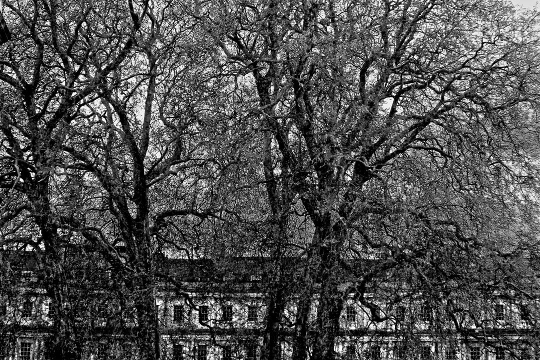 The Parade, Bath - Etsy