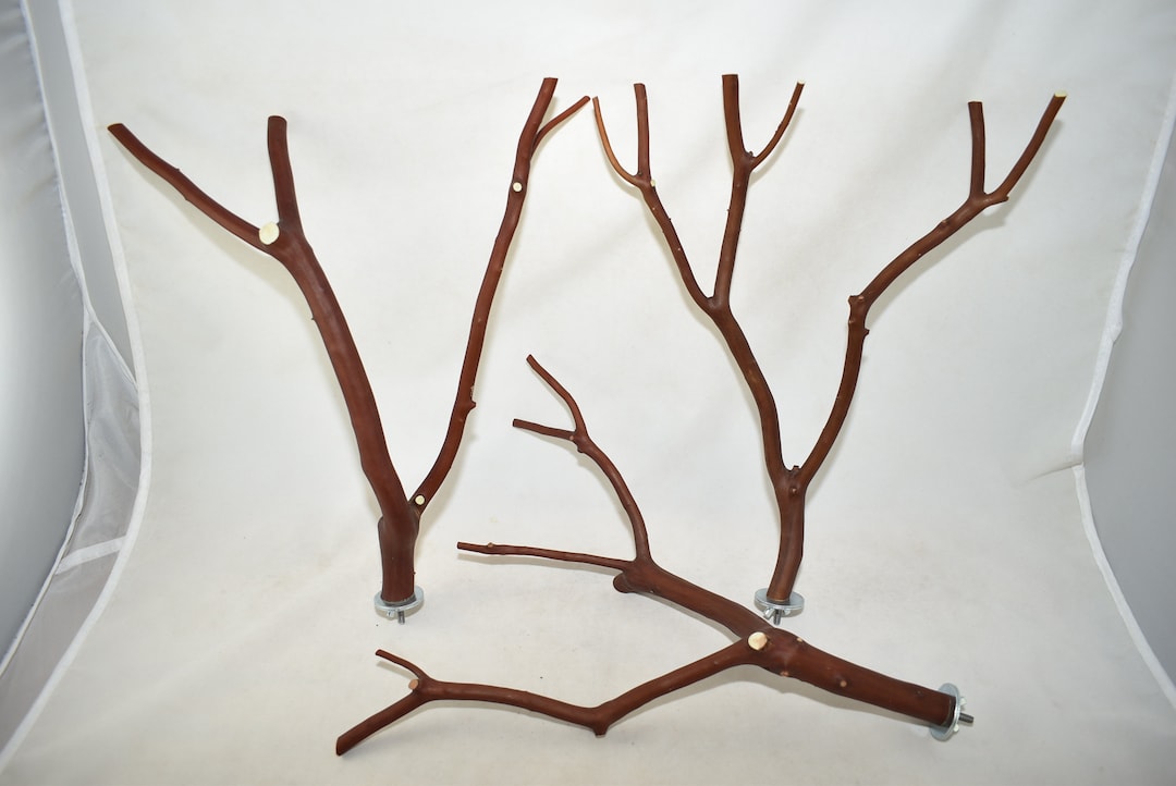 Manzanita Bird Perches Multibranch Set of 3 With Hardware smooth Bark ...