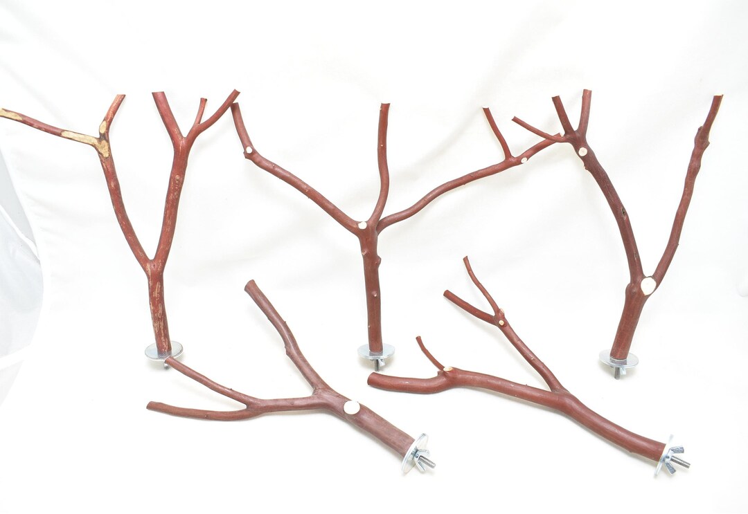 Manzanita Bird Perches Multibranch Set of 5 With Hardware happy Tweets ...