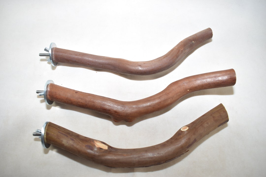 Manzanita Bird Perches Set of Three Single Branch With Hardware Fine ...