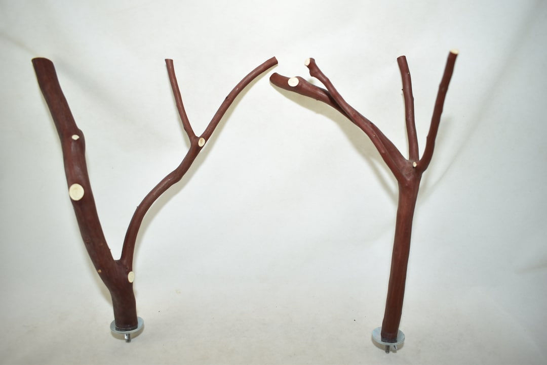 SALE Manzanita Bird Perches Multibranch Set of 2 With Hardware Sweet - Etsy