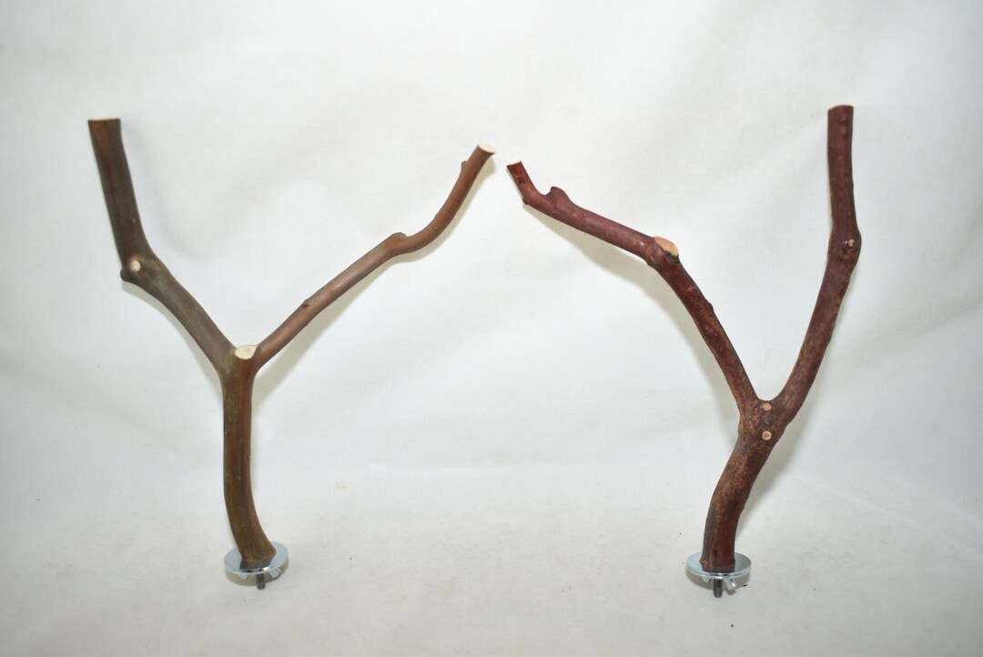 Manzanita Bird Perches Forked Multibranch Set of 2 With Hardware Sweet ...