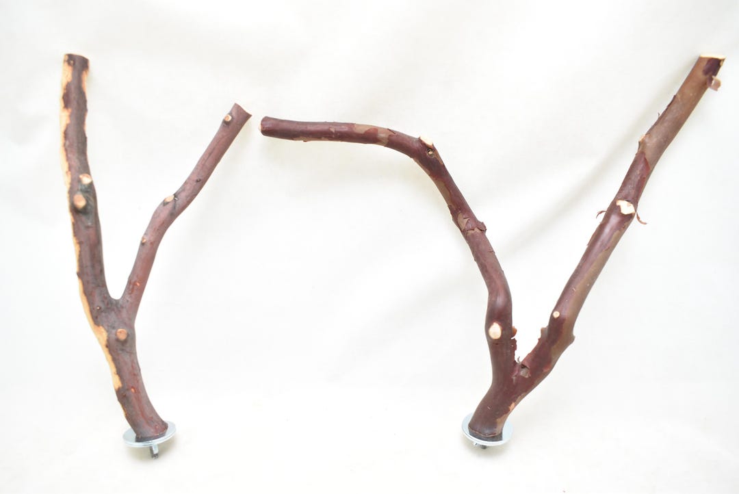 Manzanita Bird Perches Forked Multibranch Set of 2 With Hardware ...