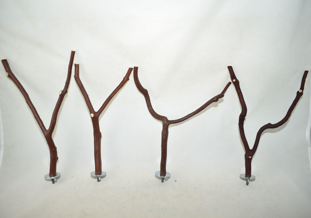 Manzanita Bird Perches Forked Multibranch Set of 4 With Hardware ...