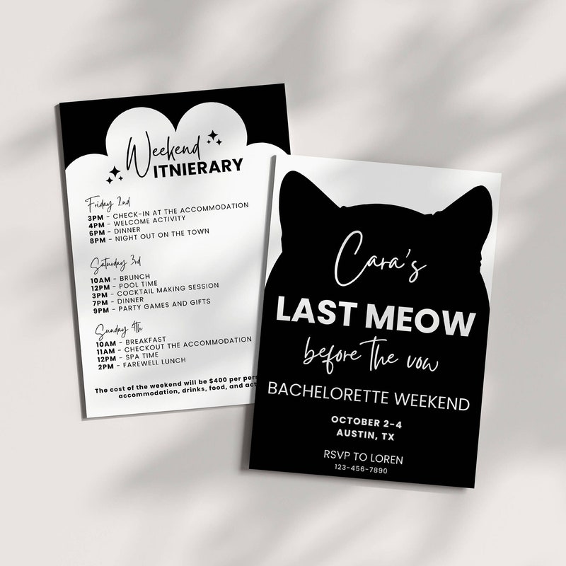 Meow Template Tshirt - Etsy UK