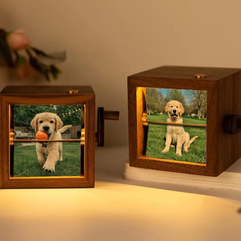 Dog Memory Flip Box - Etsy