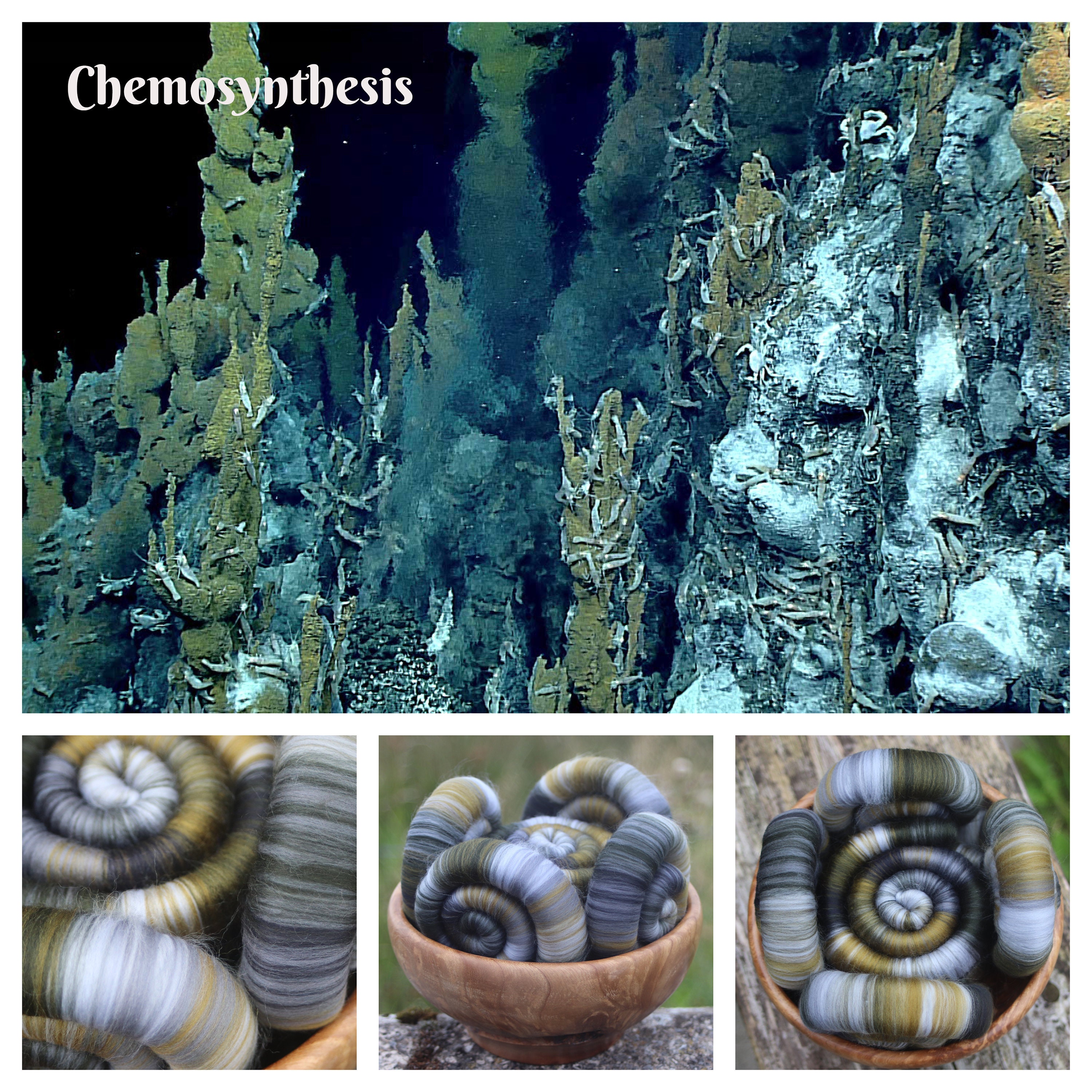 Chemosynthesis